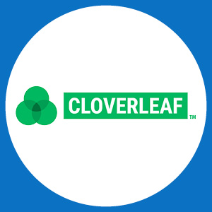 Employee Engagement Software: Crash Course & 10+ Top Options - eCardWidget